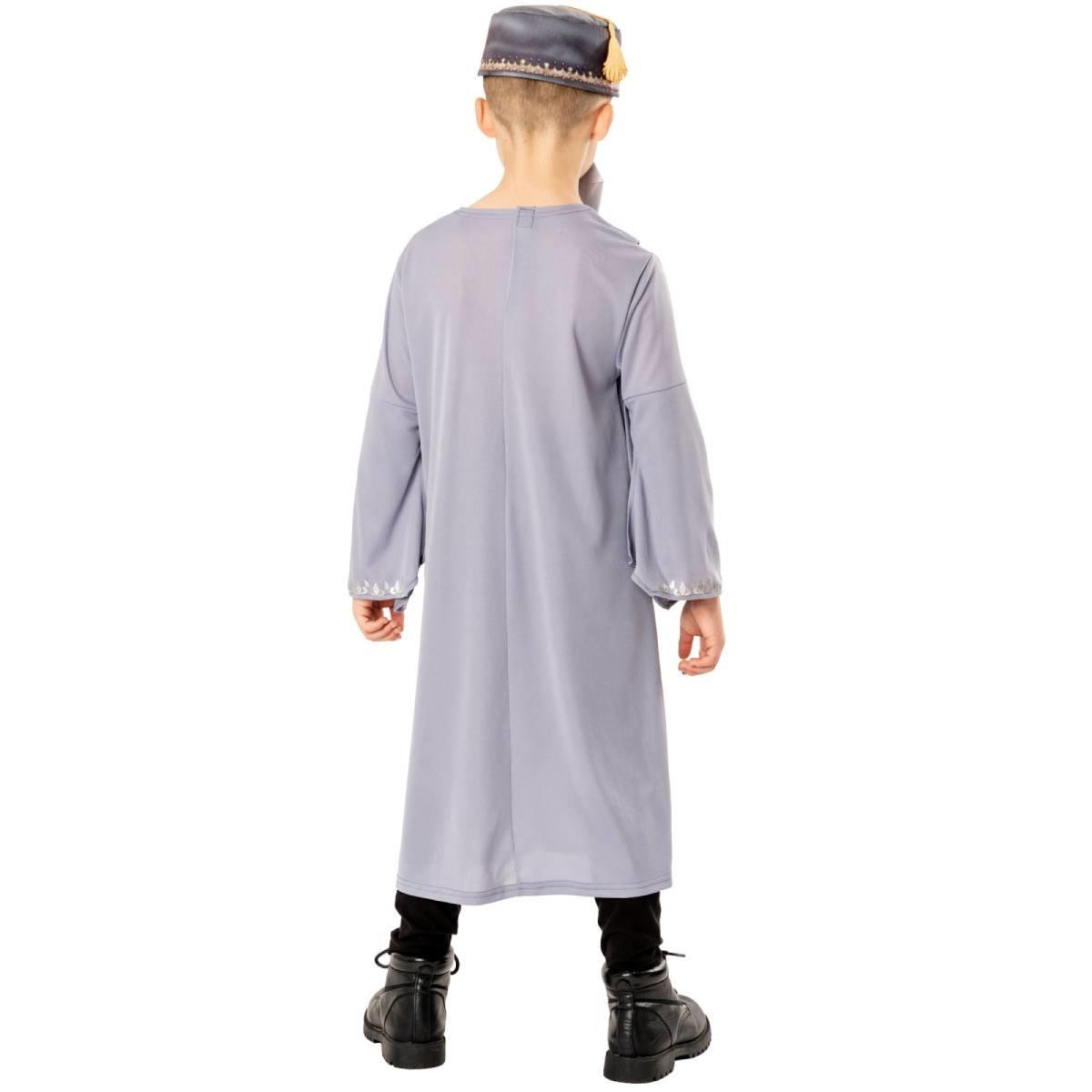 Hogwarts Albus Dumbledore Fancy Dress Costume by Rubies 3013275 ...