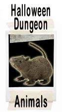 Halloween Animal Props and Decorations | Karnival Costumes