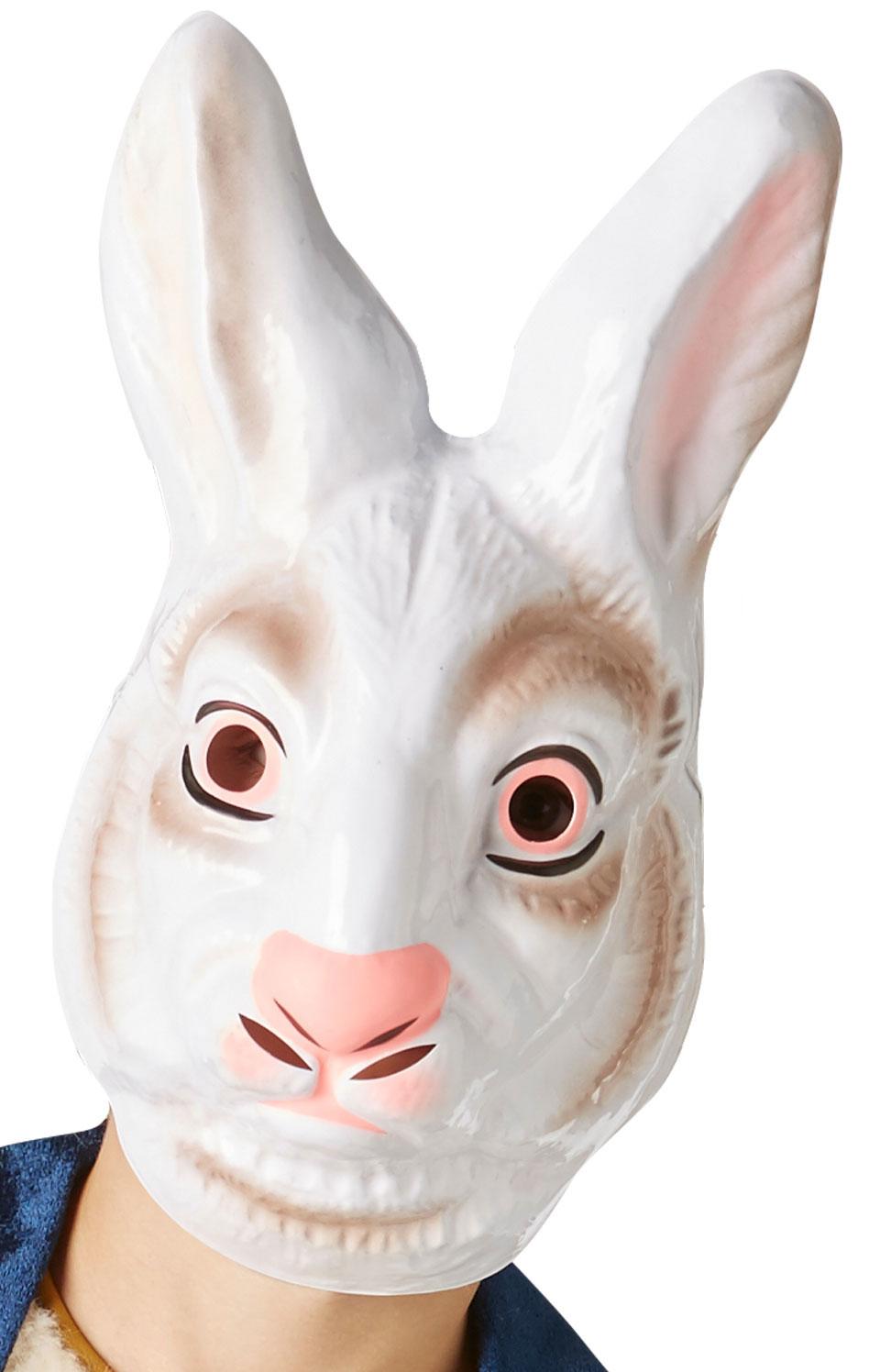 Mr Rabbit Fancy Dress Costume for Boys by Rubies 620739 | Karnival Costumes