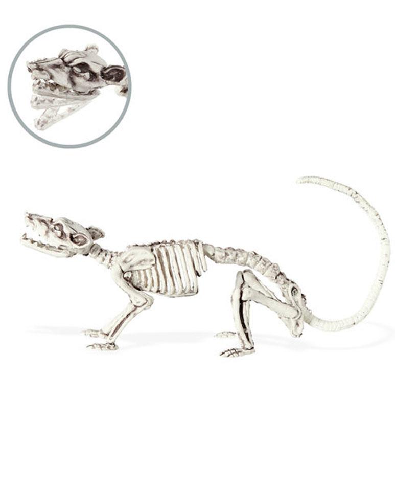 Halloween Rat Skeleton Halloween Decoration Lighted Gothic Floral