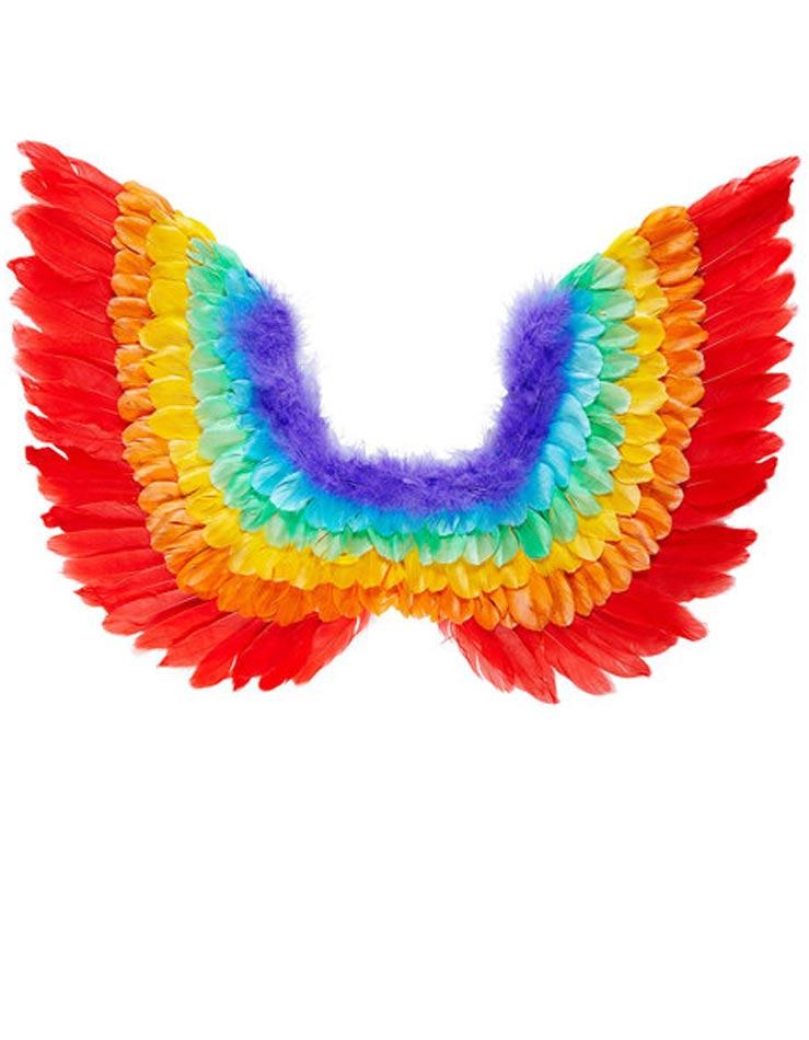 Multi-coloured Rainbow Feather Wings by Widmann 00649 | Karnival Costumes