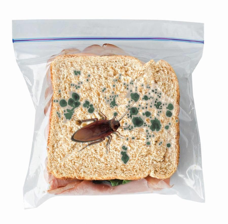 Gross Out Sandwich Bags by Forum Novelties 77007 | Karnival Costumes
