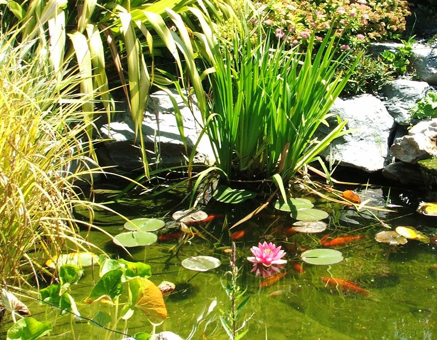 The Online store for Pond One UK