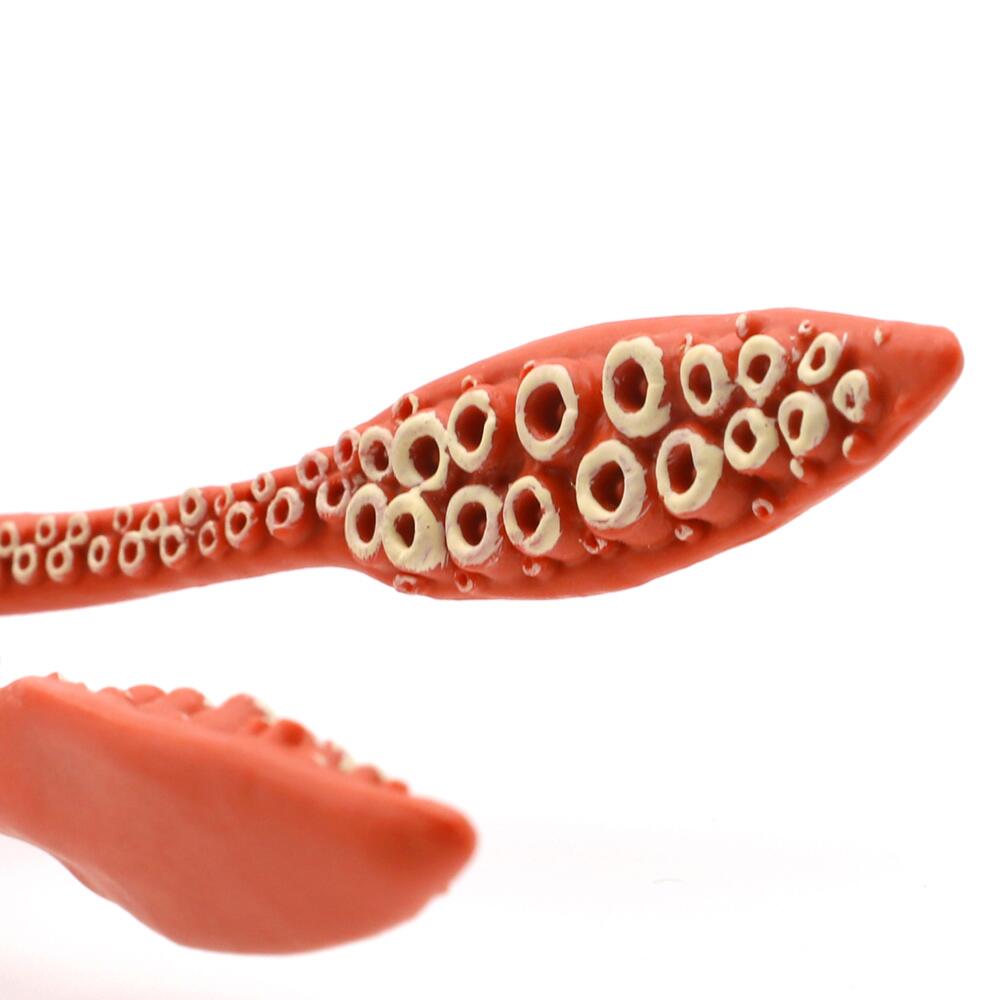Papo Giant Squid Sealife Collectable Figure 56058