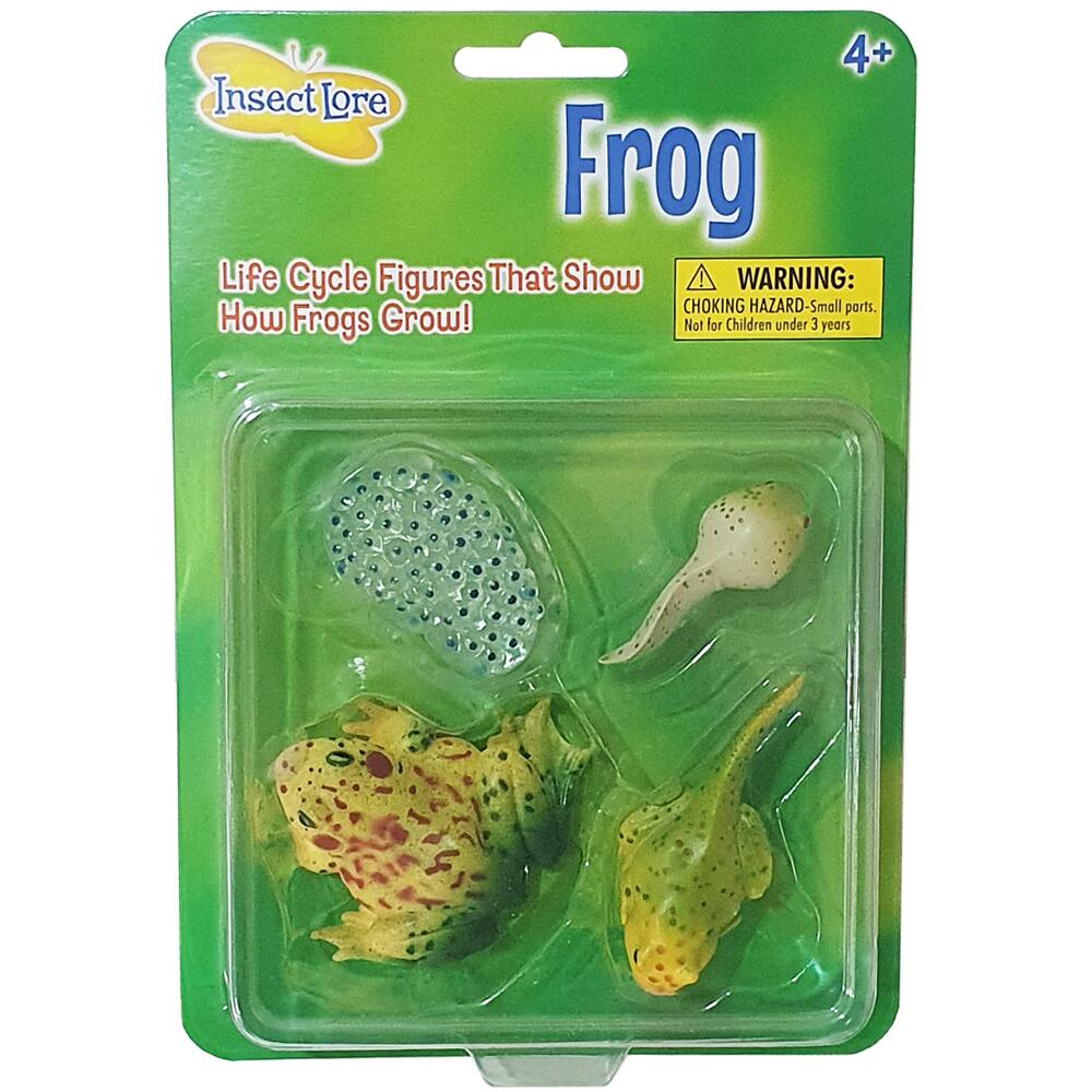 Insect Lore Life Cycle Figurines FROG