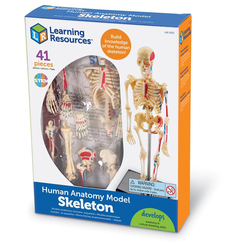 Learning Resources Human Skeleton Model