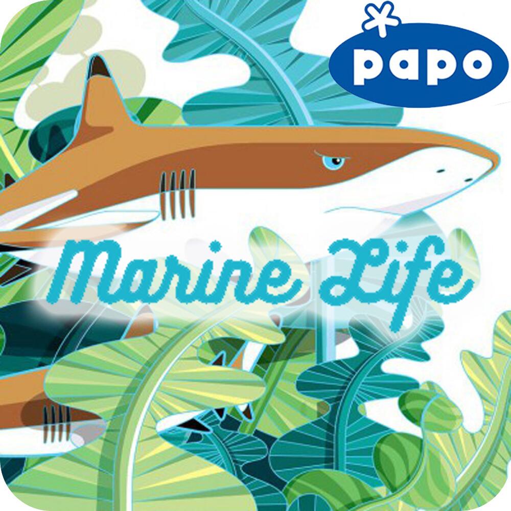 Papo Aquatic Animals Whale Calf