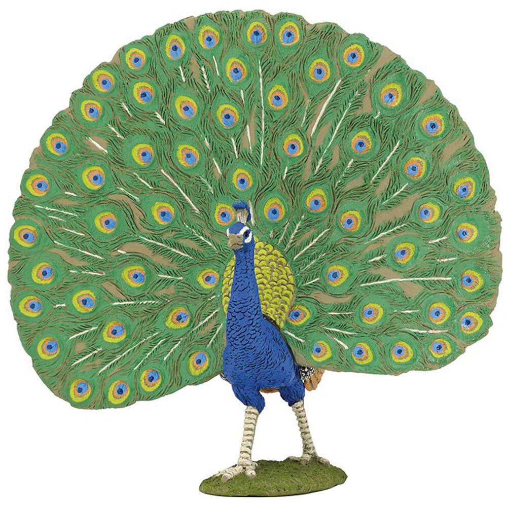 PAPO Wild Animal Kingdom Peacock Collectable Figure 51161