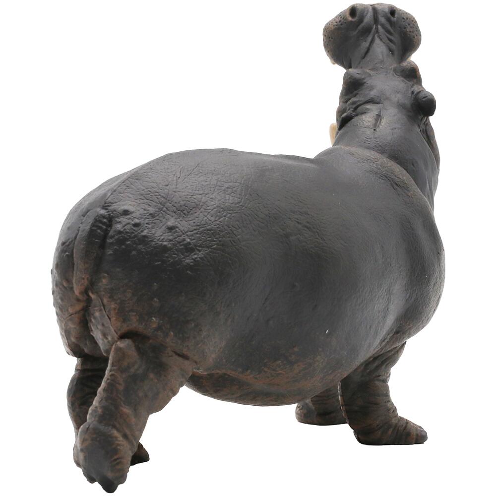 Papo Hippo Hippos Salutation 😁👍 #schleich #wild #animal