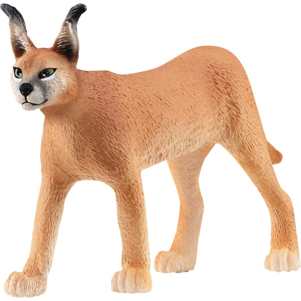 Schleich Wild Life Caracal Female Animal Figure for Ages 3+