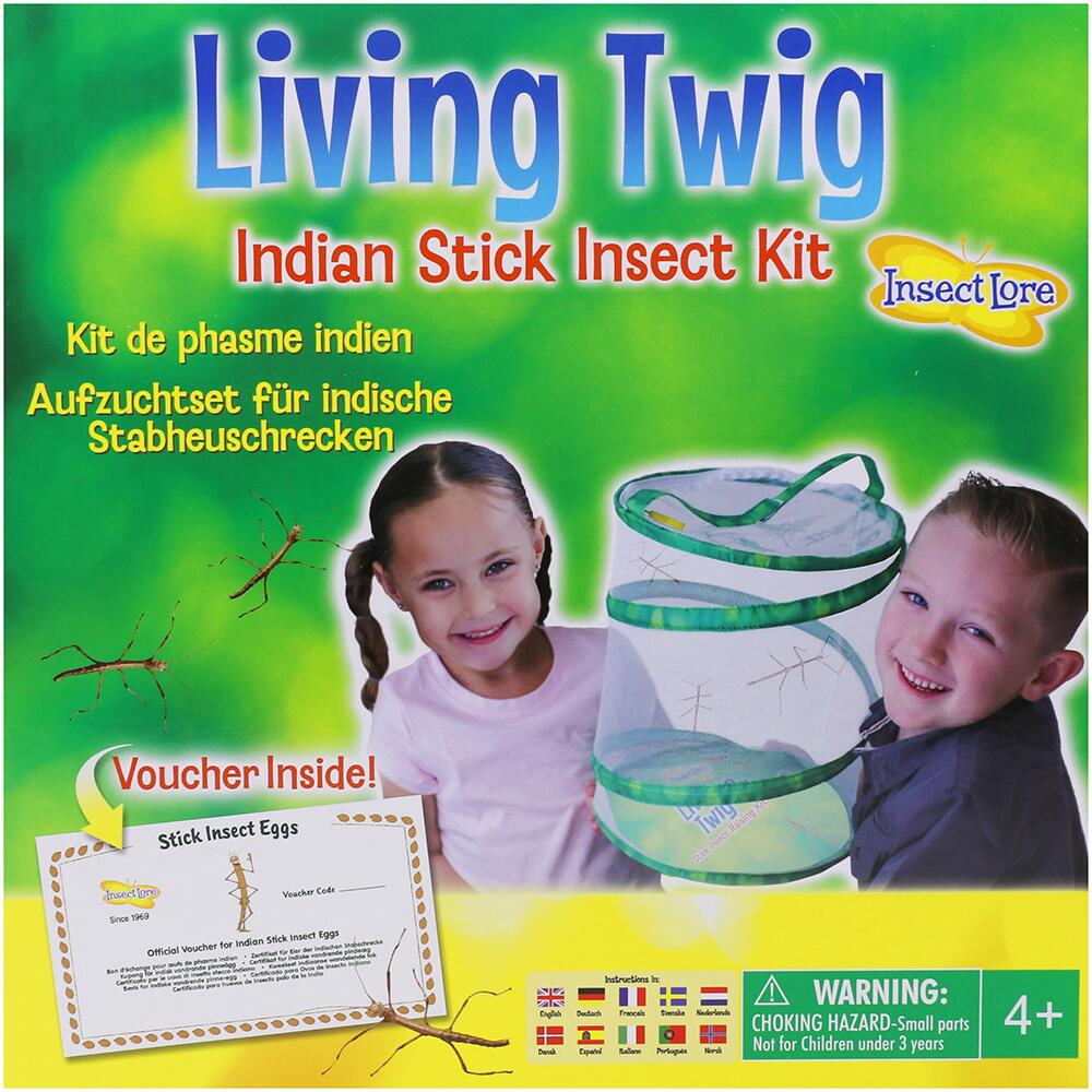 Insect Lore Living Twig Indian Stick Insect Kit