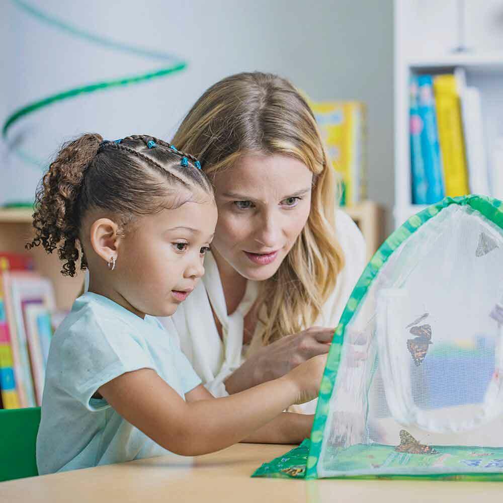 Insect Lore Butterfly Garden Home School Edition