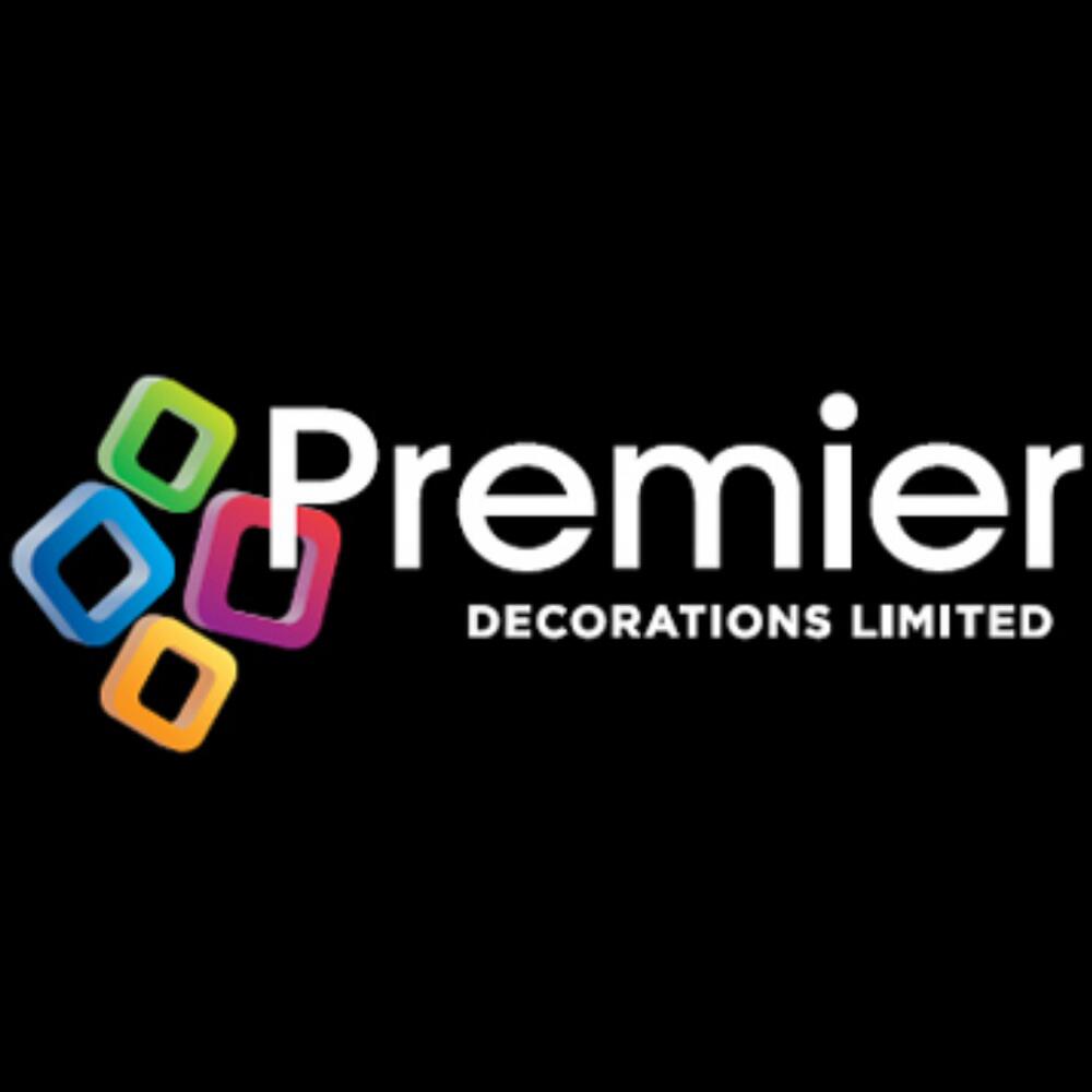 Premier 303 LED Pinwire Curtain Hanging Star Lights in White