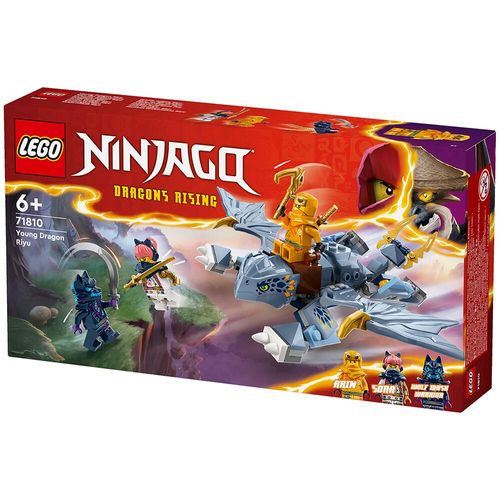 LEGO Ninjago Young Dragon Riyu Building Set 71810