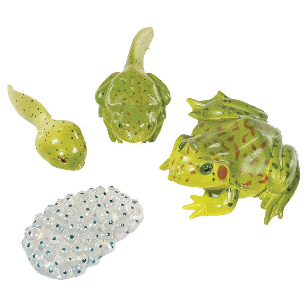 Insect Lore Life Cycle Figurines FROG