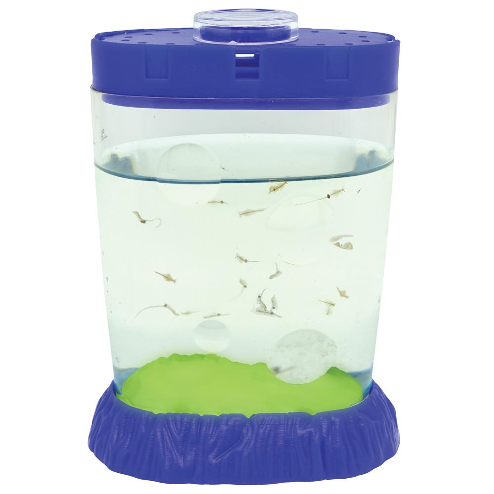 The Original Sea-Monkeys Magiquarium