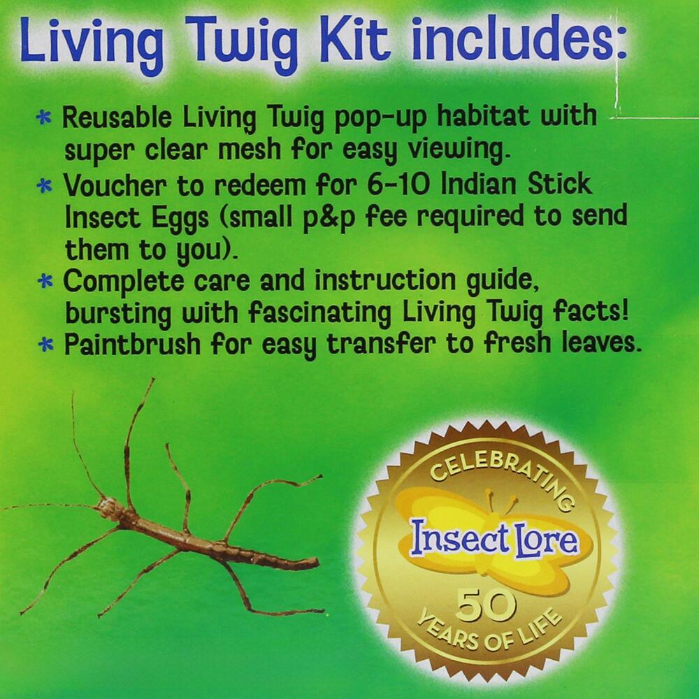 Insect Lore Living Twig Indian Stick Insect Kit