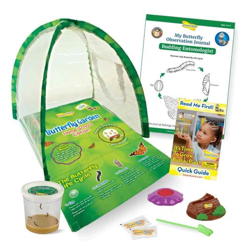 Insect Lore Butterfly Garden Home School Edition