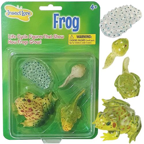 Insect Lore Life Cycle Figurines FROG