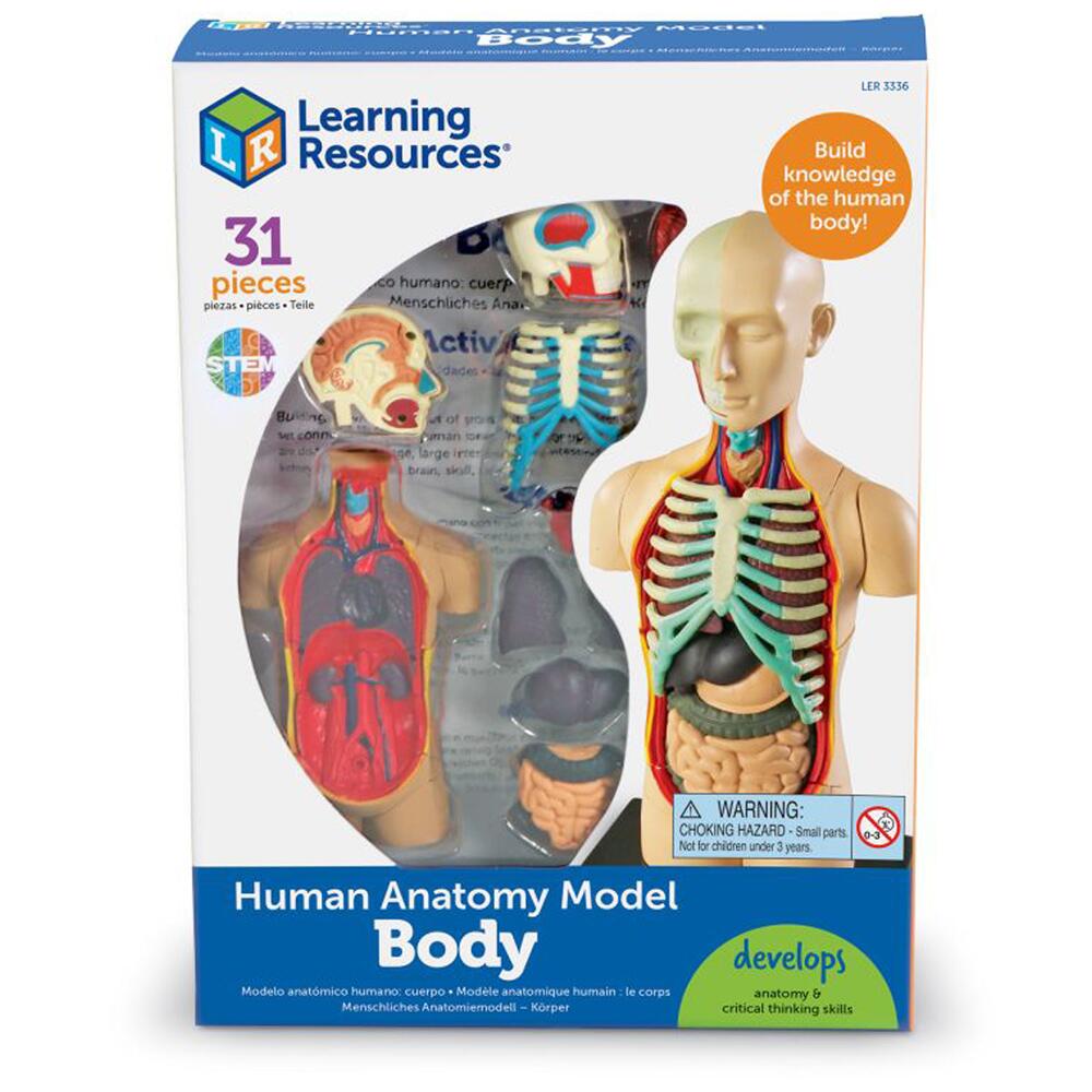 Learning Resources Human Body Anatomy Model LER3336