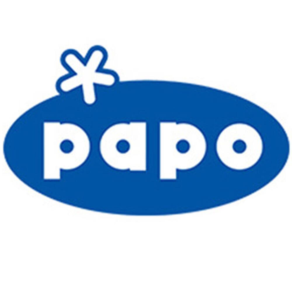 PAPO Dinosaurs Velociraptor