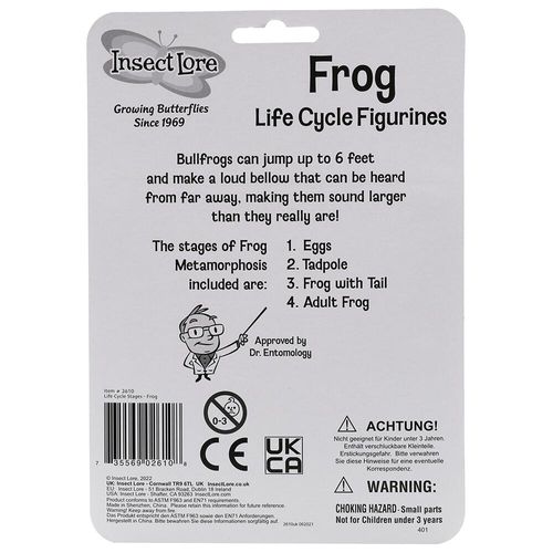 Insect Lore Life Cycle Figurines FROG