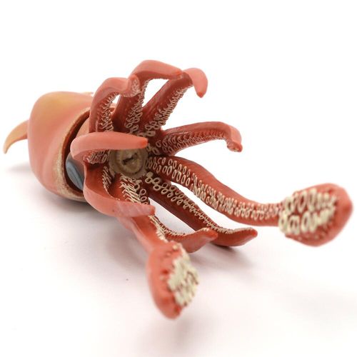 Papo Giant Squid Sealife Collectable Figure 56058
