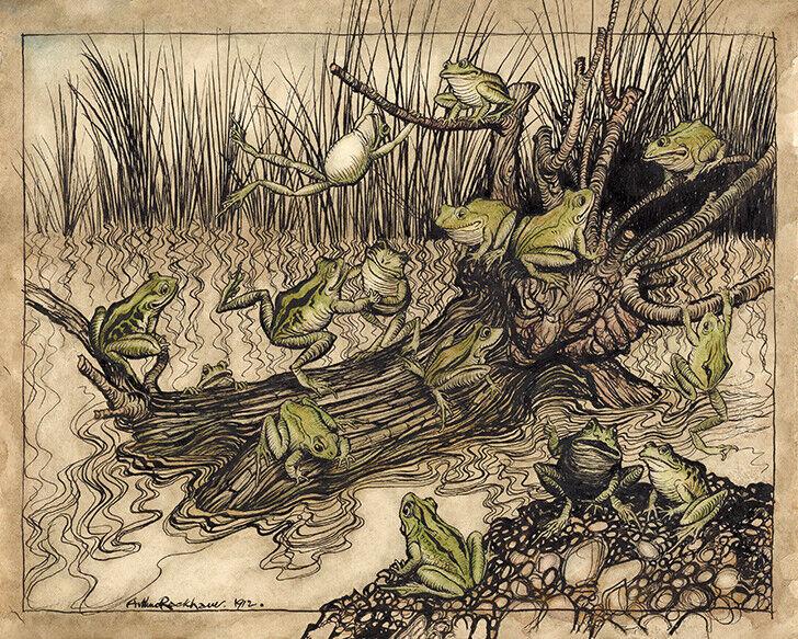 Aesop's Fables King Log (1912) Arthur Rackham illustration art wall art ...
