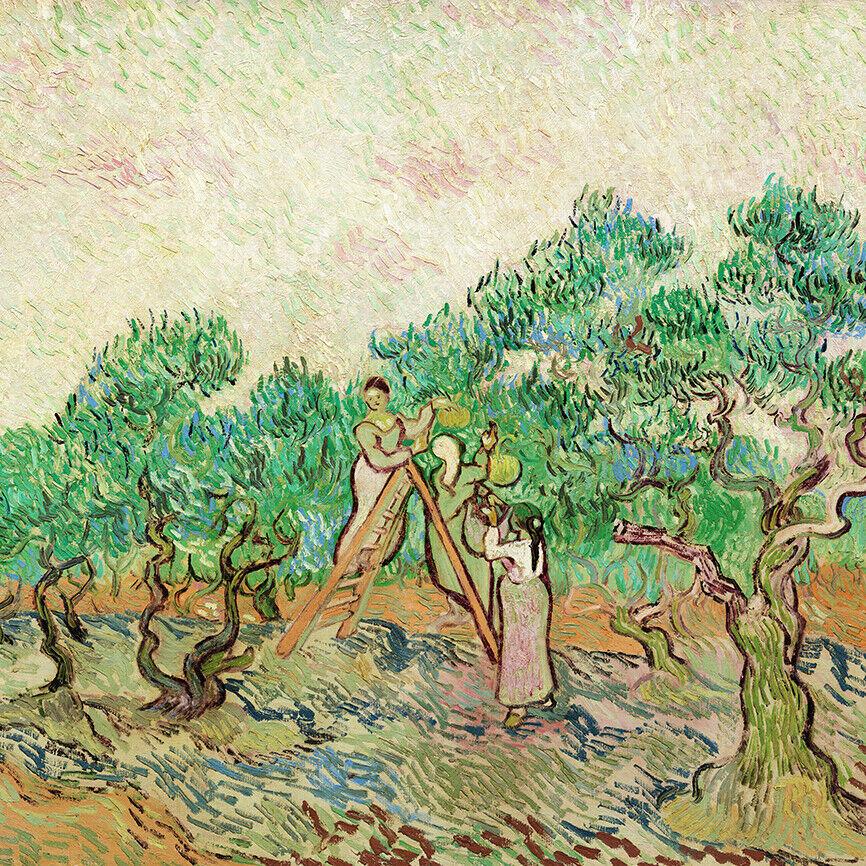 Olive Pickers Van Gogh Art Review: Van Gogh's Olive Grove Paintings In