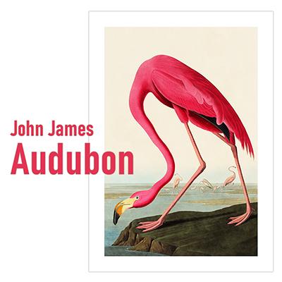 Audubon, John James