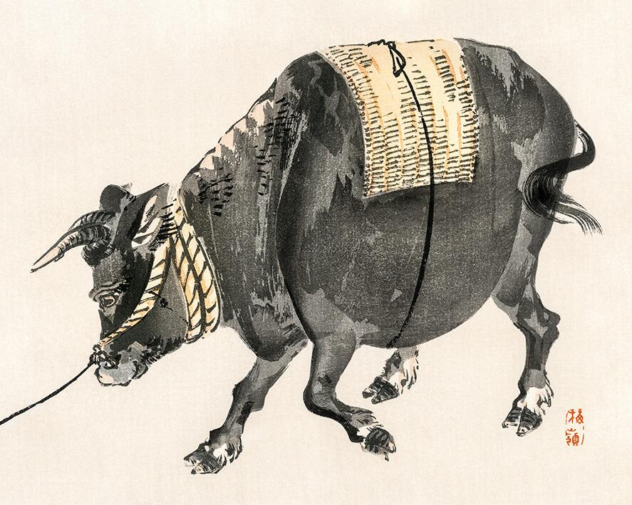 Japanese Black bull by Kono Bairei woodblock wall art poster print