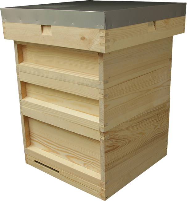 Pine British Natinal Hive