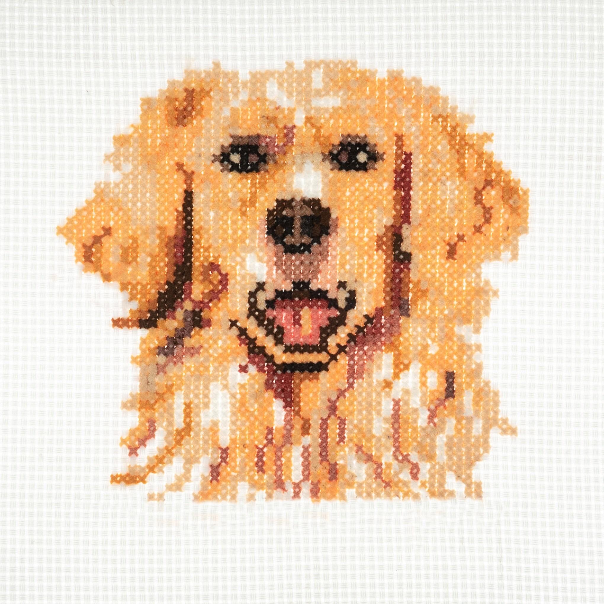 Golden Retriever - Stitch Your Own Counted Cross Stitch Kit