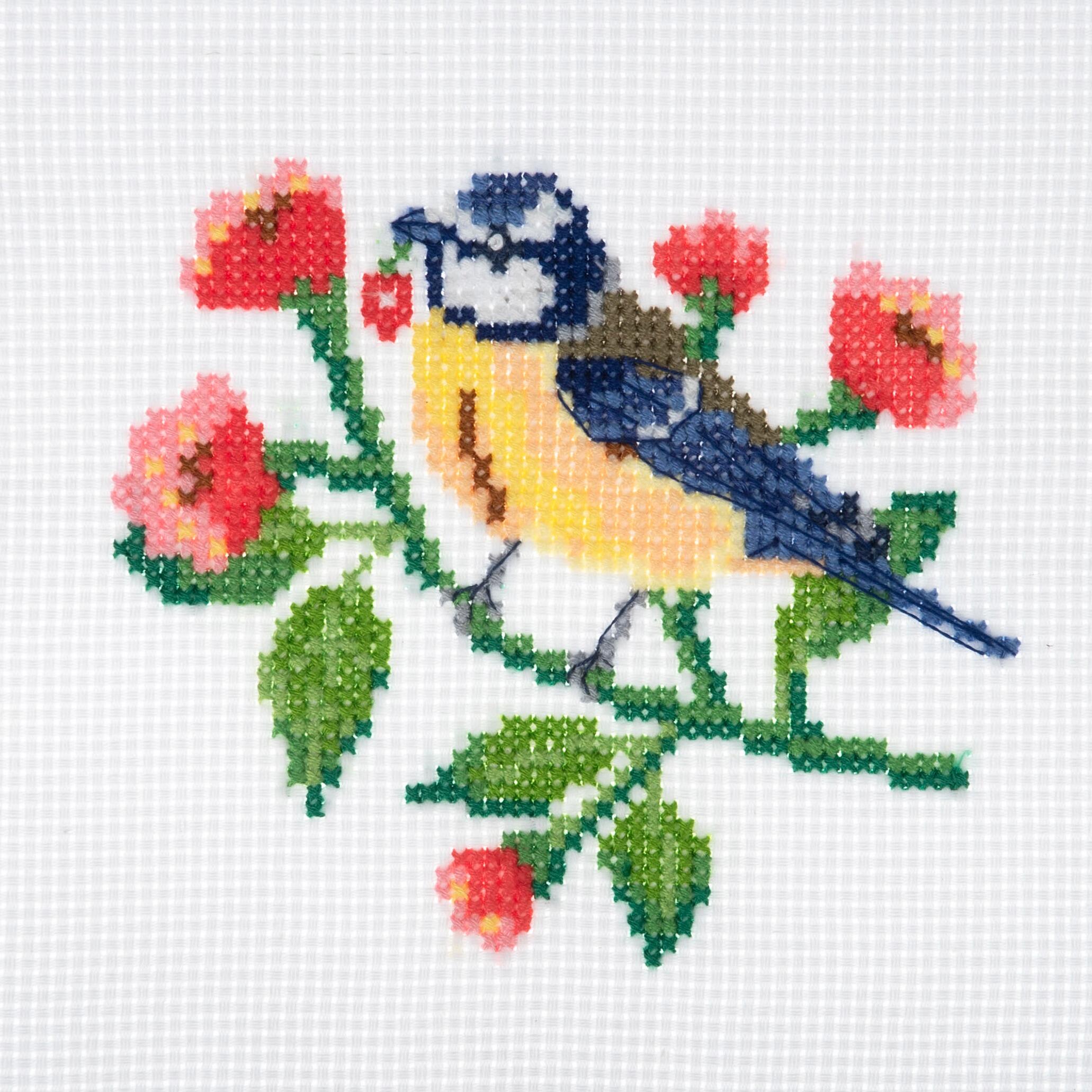 Bird - Stitch Your Own Counted Cross Stitch Kit