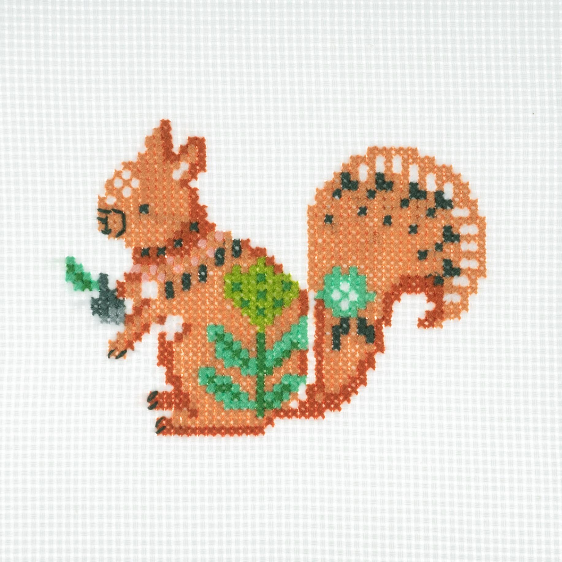 Squirrel - Stitch Your Own Counted Cross Stitch Kit