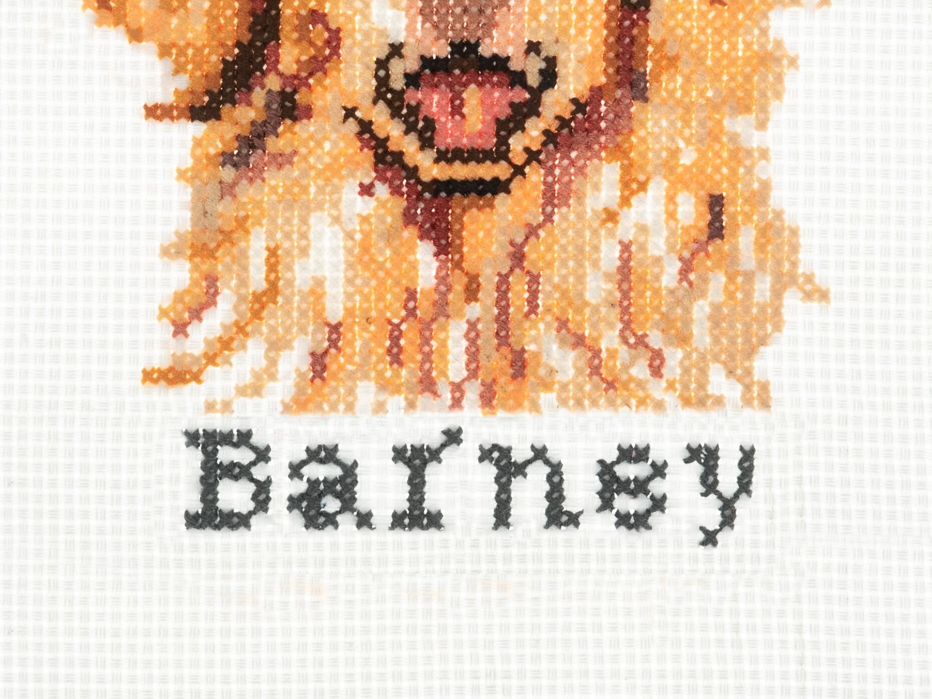Golden Retriever - Stitch Your Own Counted Cross Stitch Kit