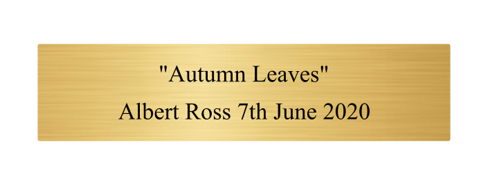 Personalised Artist Name Plates