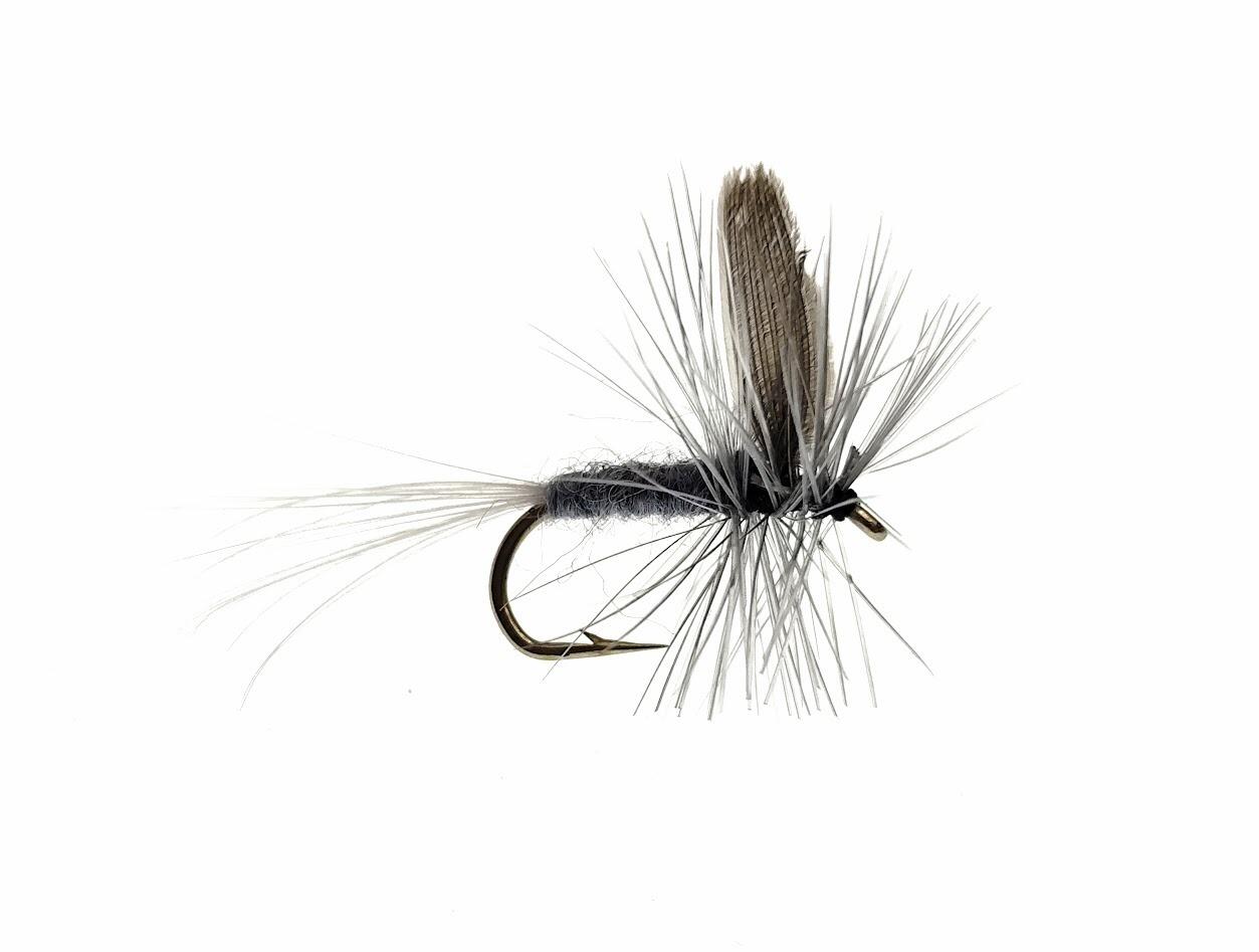 Wells Fly Fishing | Blue Dun Dry Trout Fly | Pack of 3 Flies | FREE ...