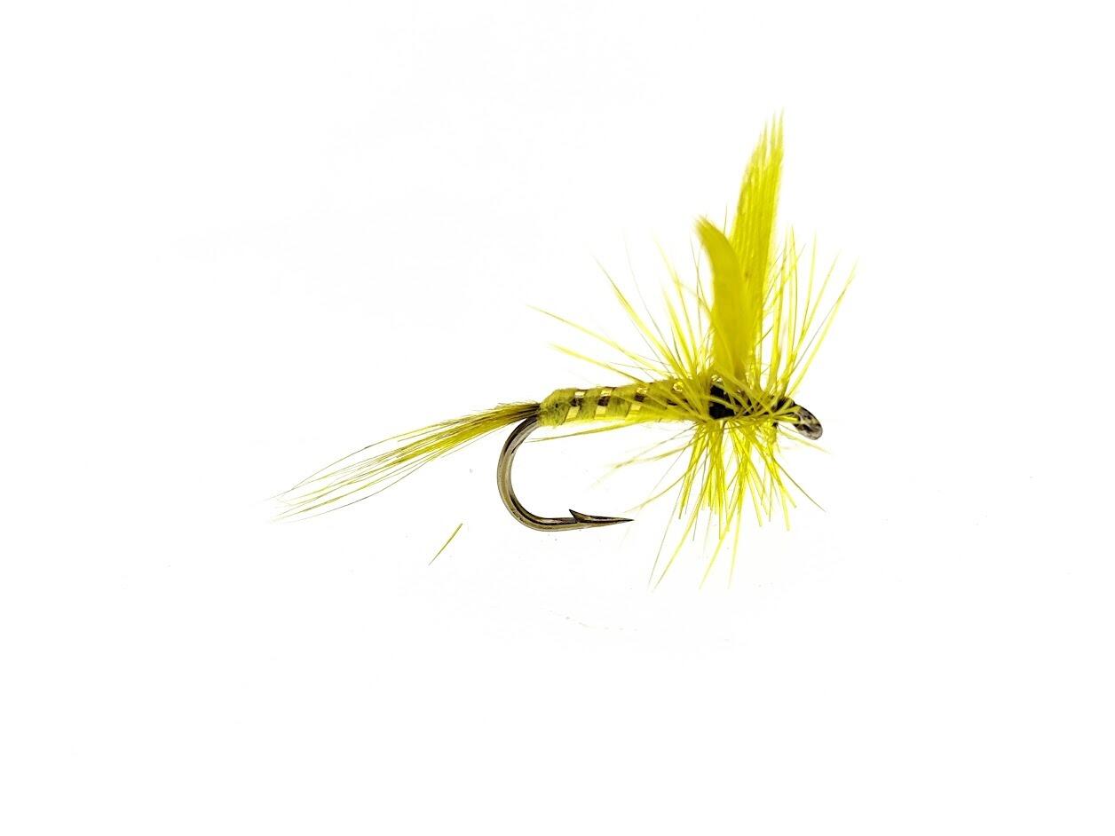Shrimp Trout Fly