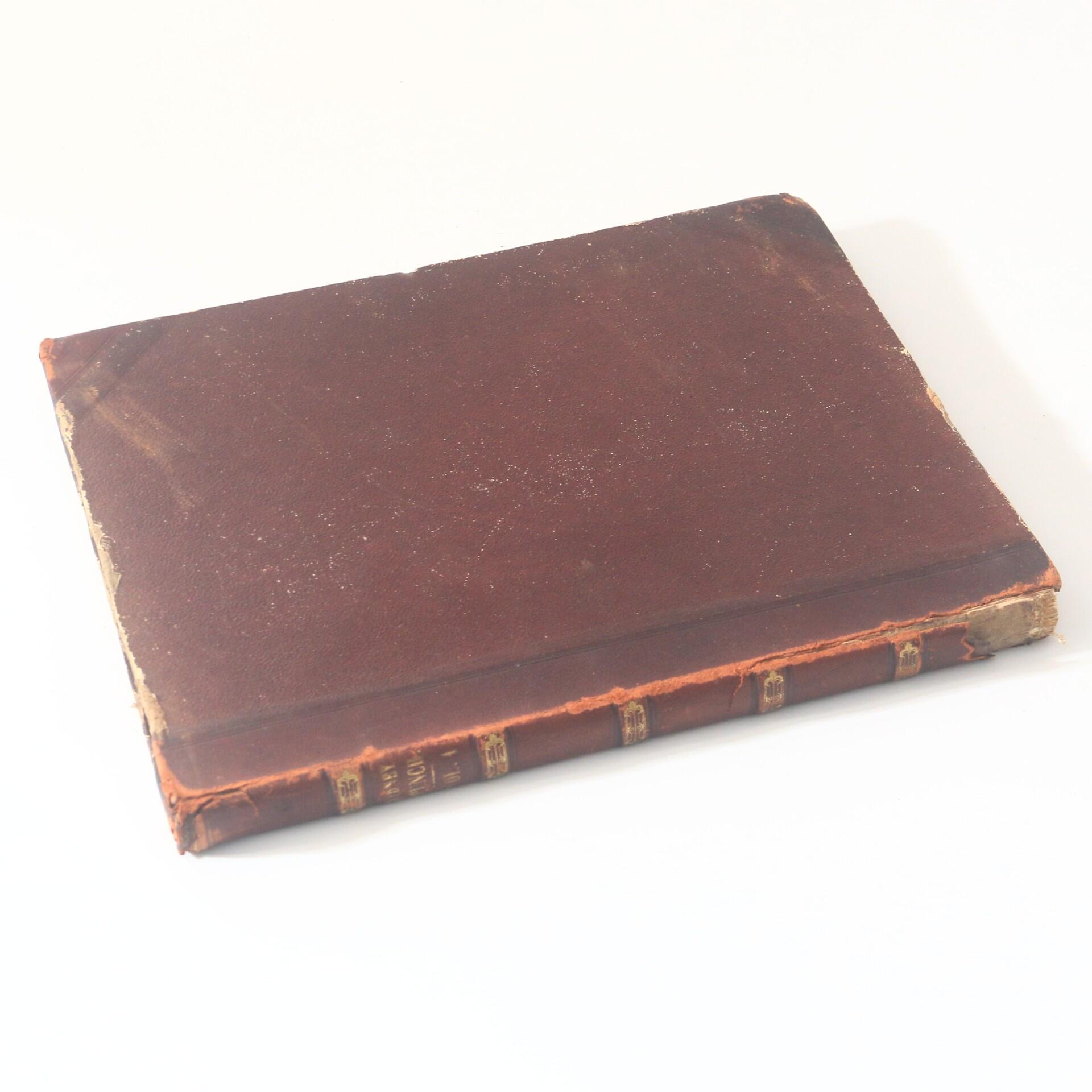 Edgar Ray [ed.] - Sydney Punch: Volume One - Edgar Ray, 1864, First ...