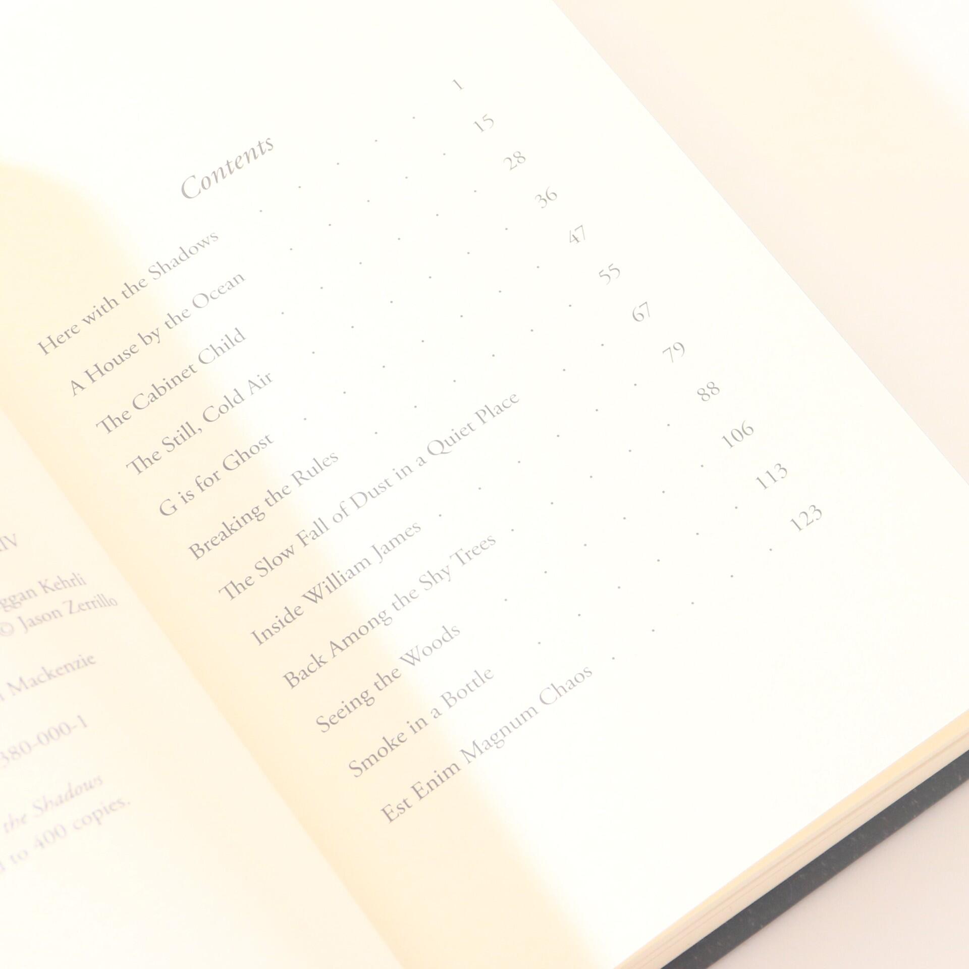 Steve Rasnic Tem - Here with the Shadows - Swan River Press, 2014 ...