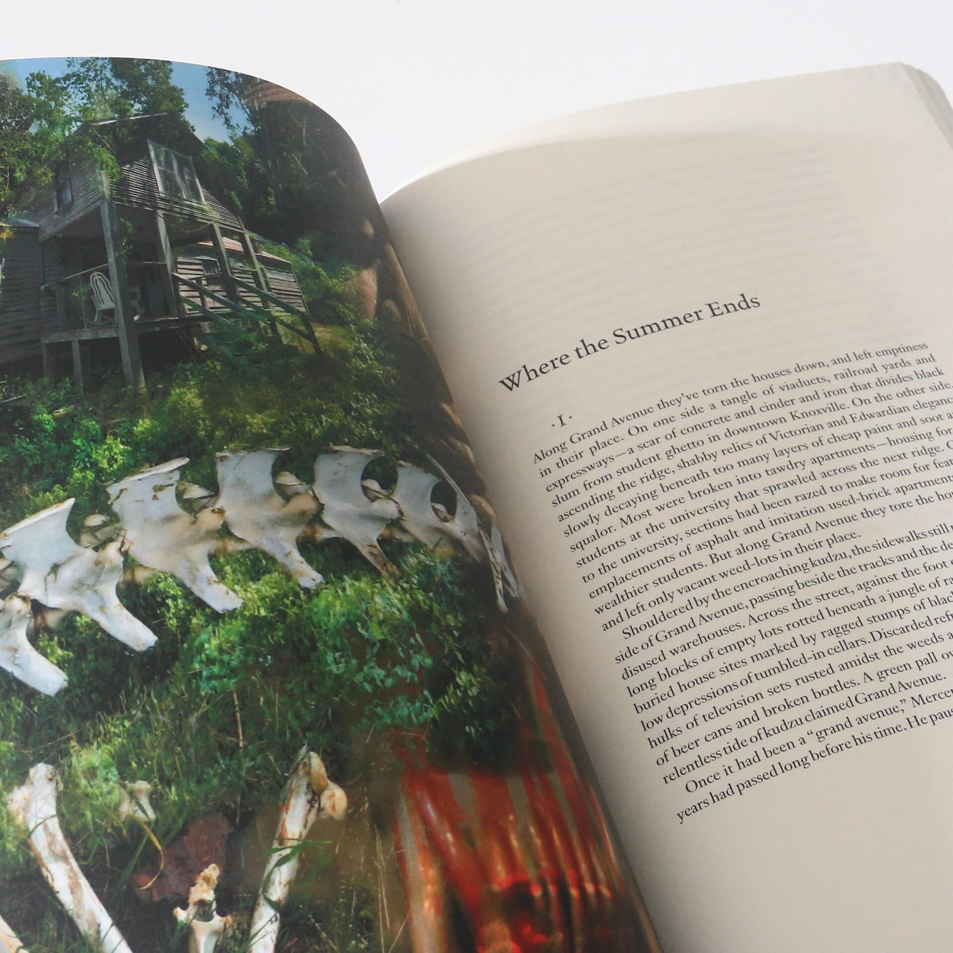 Karl Edward Wagner - Masters of the Weird Tale: Karl Edward Wagner ...