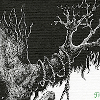 Rare Books and Limited Editions from the Ash-Tree Press