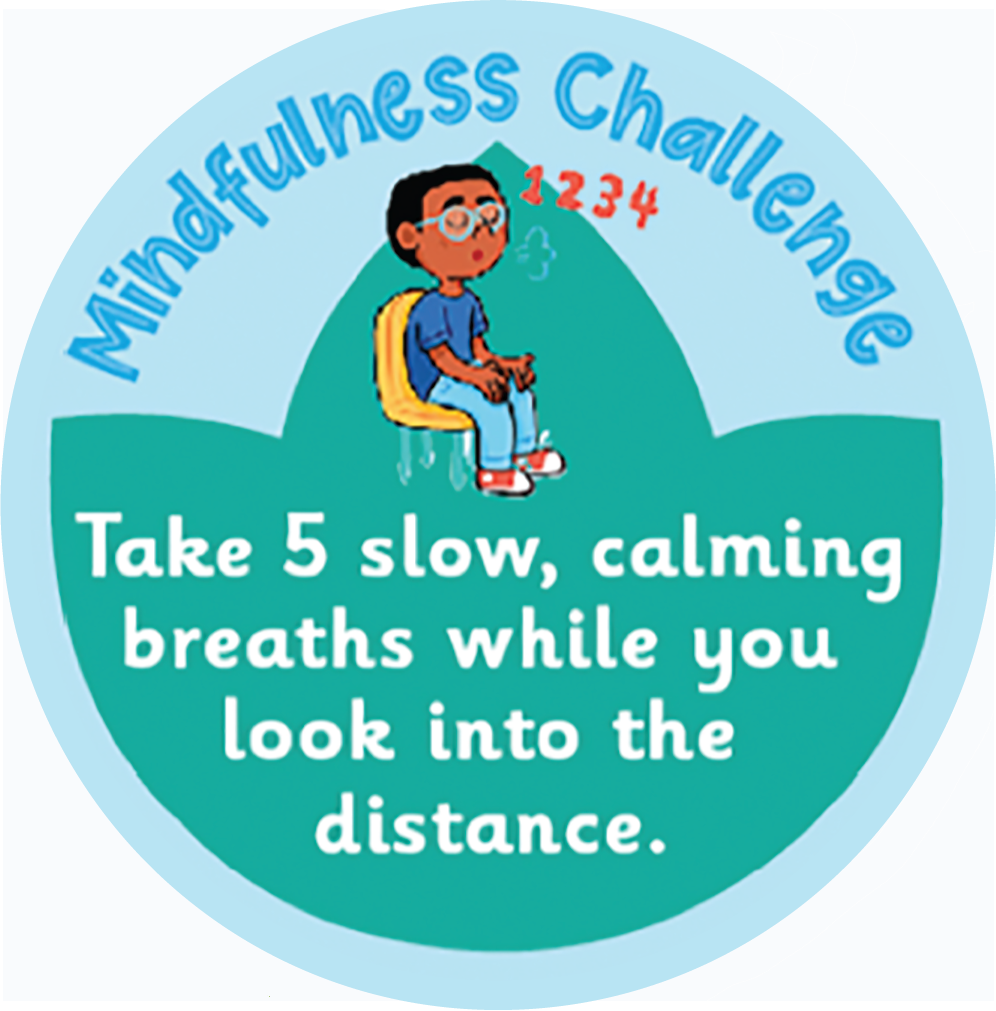 "The Mindfulness Challenge"