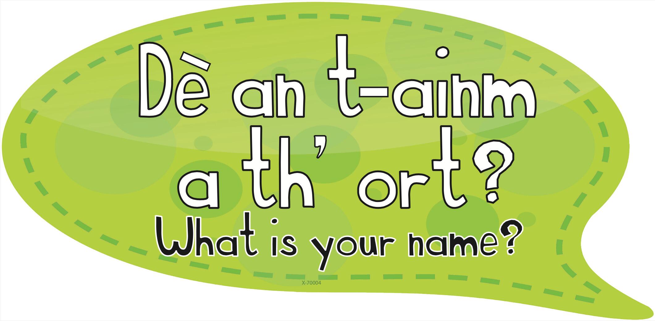 Dual Language - Questions as Scottish Gaelic 9 Yard Signs - Set 1
