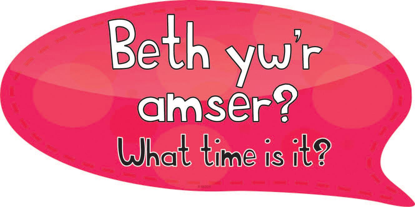 Dual Language - Questions as Welsh 9 Yard Signs - Set 2