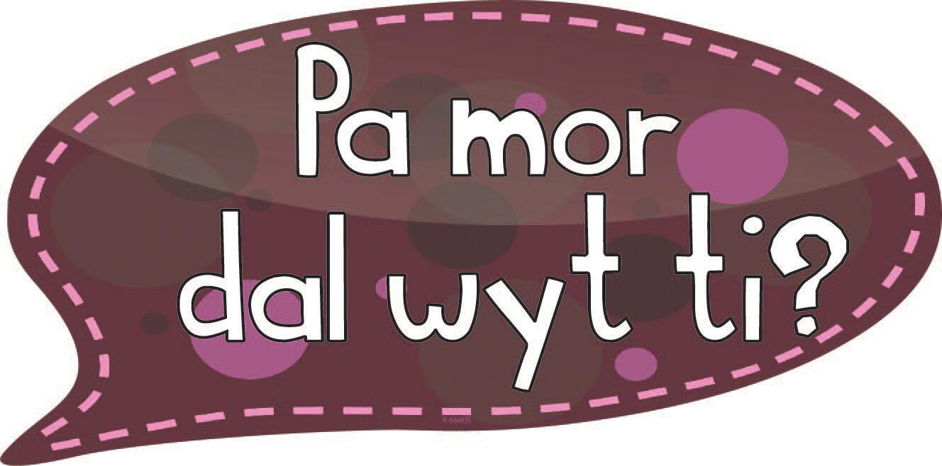Questions as Welsh 9 Yard Signs - Set 3