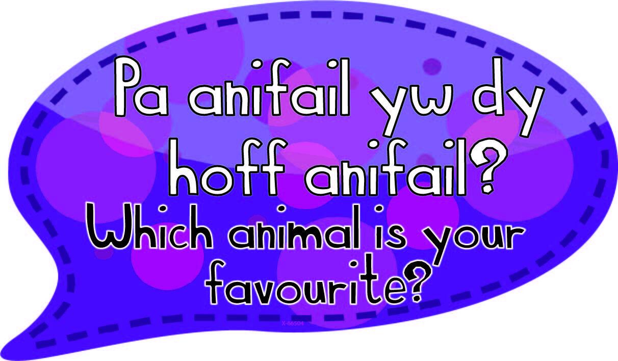 Dual Language - Questions as Welsh 9 Yard Signs - Set 3