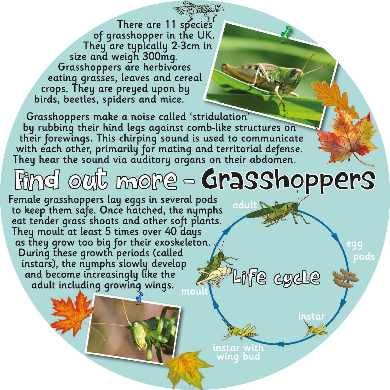 Find Out More - Circular Nature Signs