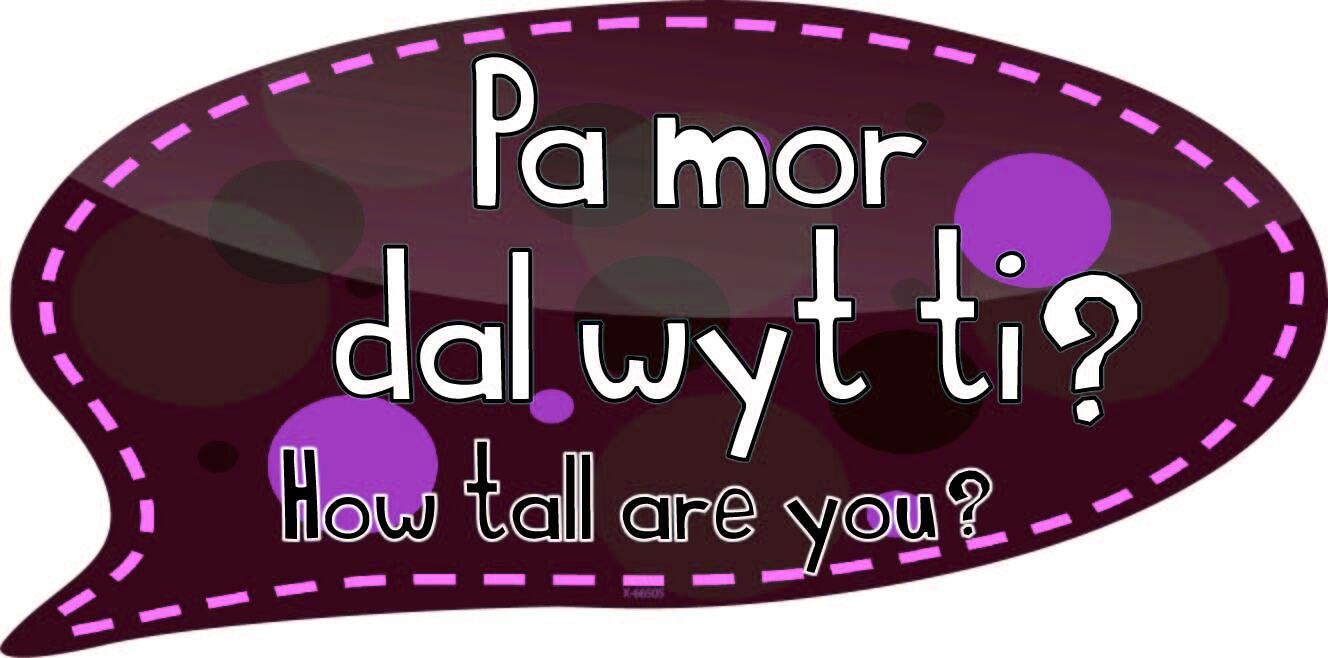 Dual Language - Questions as Welsh 9 Yard Signs - Set 3